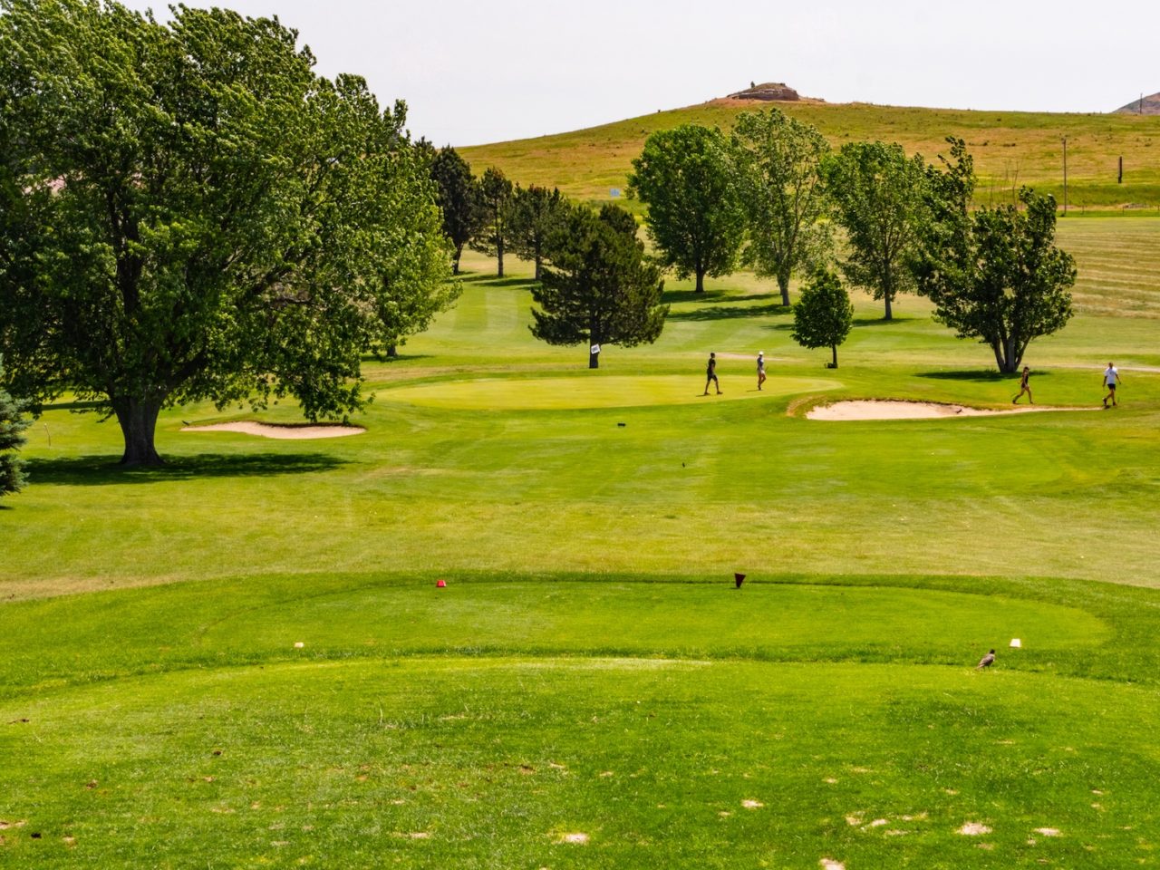 Course | Ridgeview Country Club